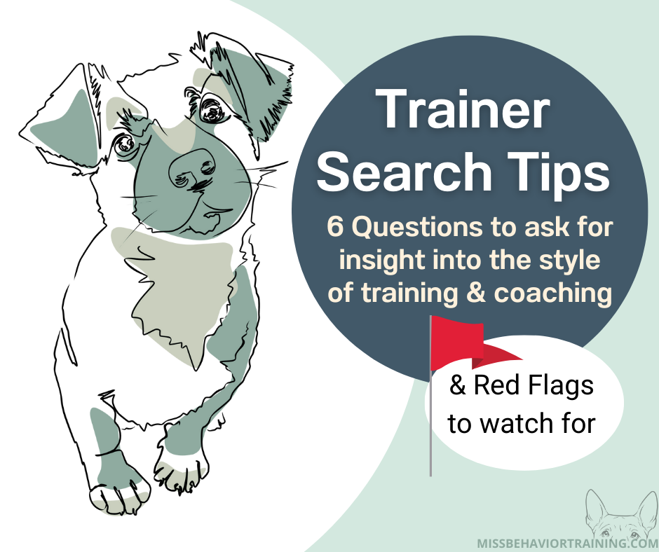 Questions to ask when searching for a trainer - Miss Behavior ...